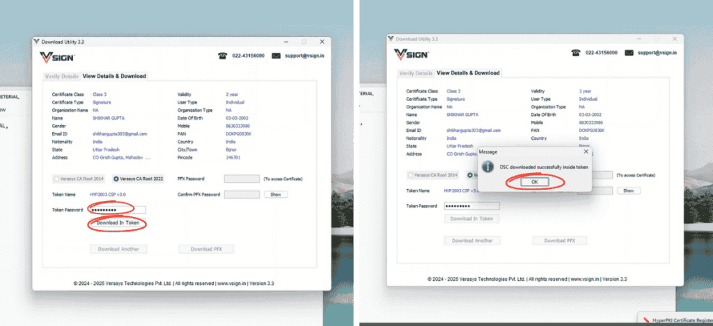 How to download dsc in vsign: Step-by-Step Guide