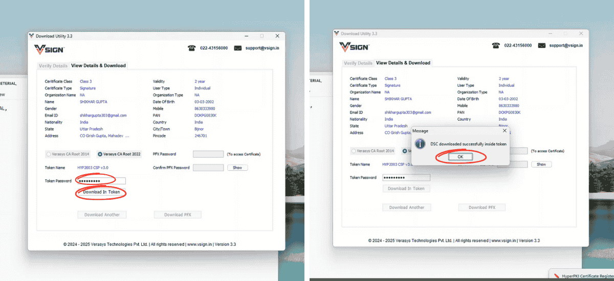 How to download dsc in vsign: Step-by-Step Guide
